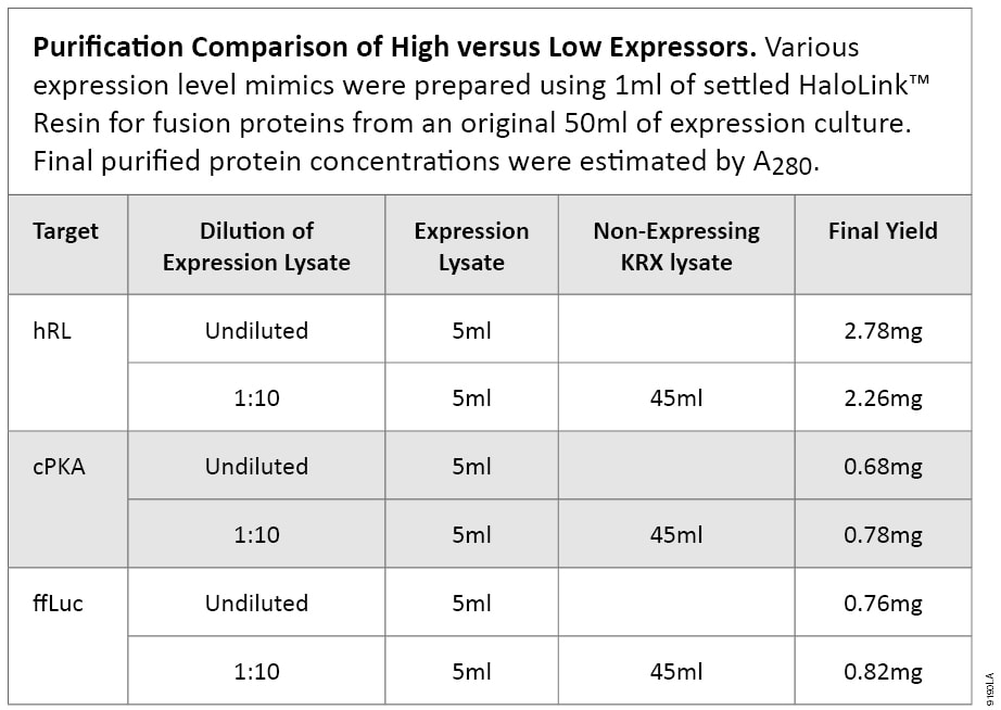 High Protein Yield and Purity with the HaloTag Protein Purification System